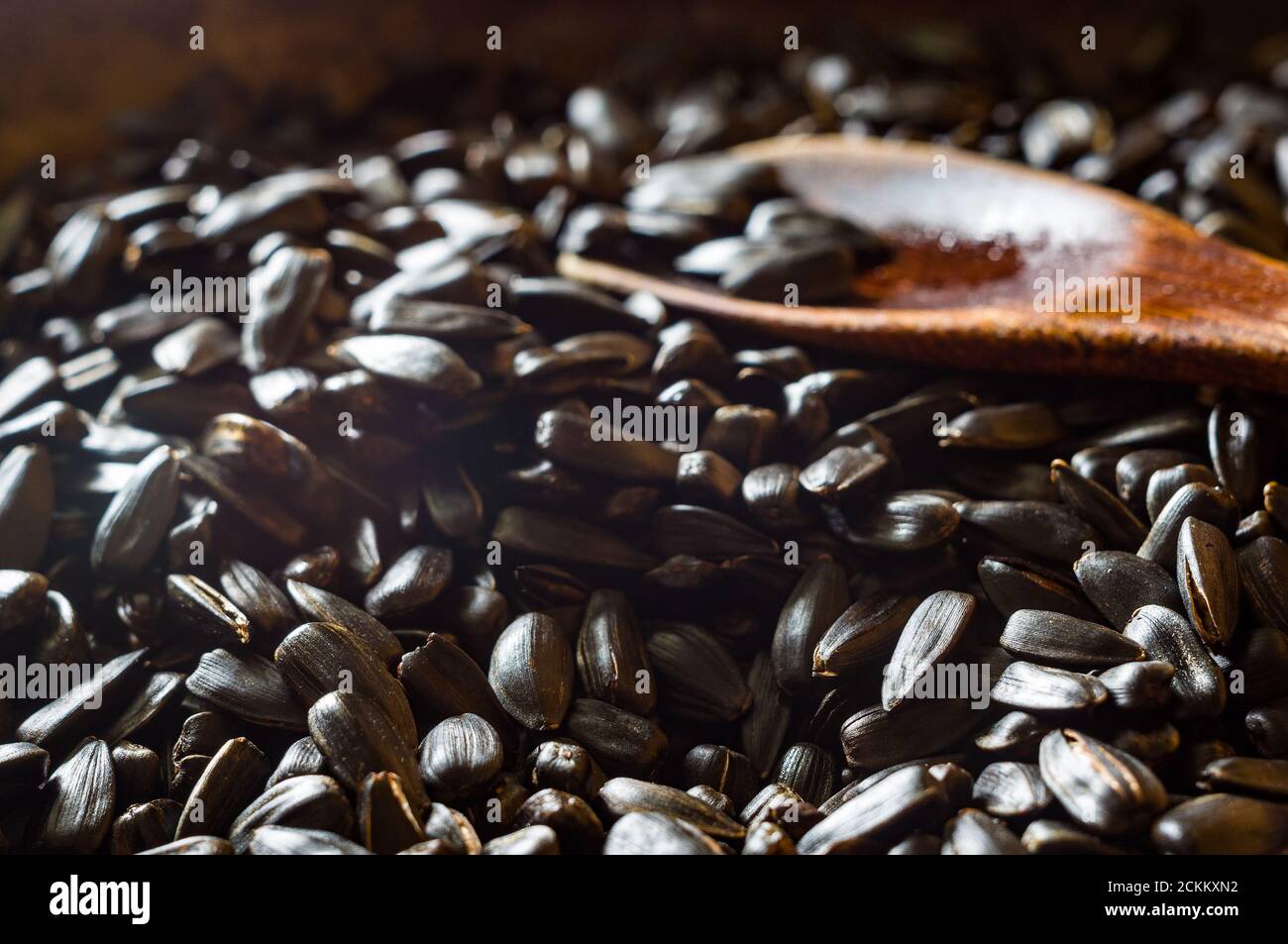 Fried sunflower black seeds with a wooden spoon in a pan, close-up ...