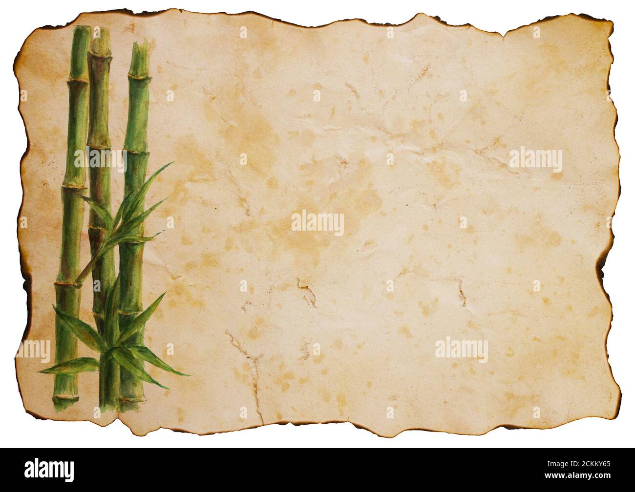 White watercolour paper edge Cut Out Stock Images & Pictures - Alamy