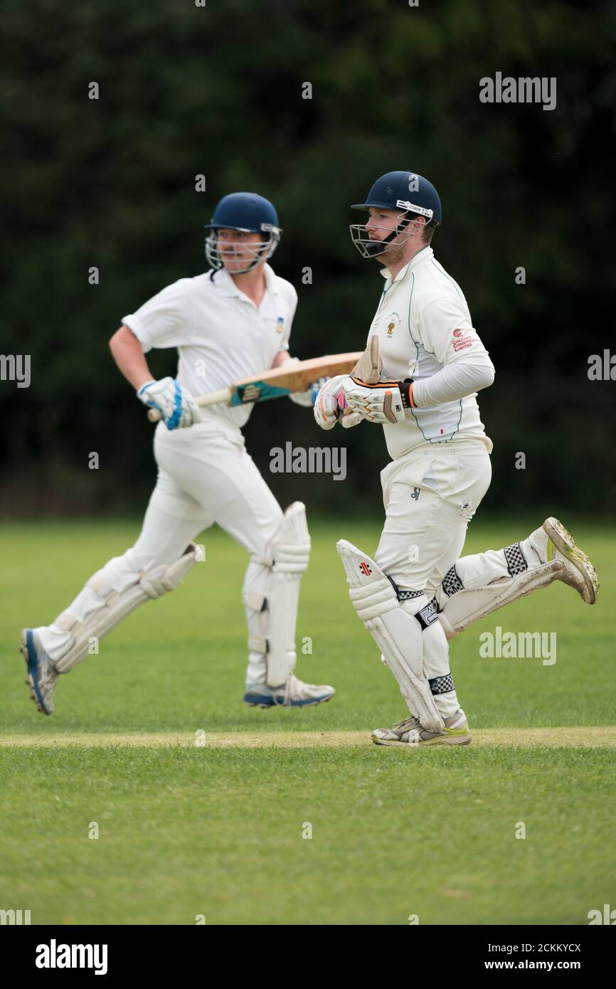 Cricket batsmen making runs Stock Photo - Alamy