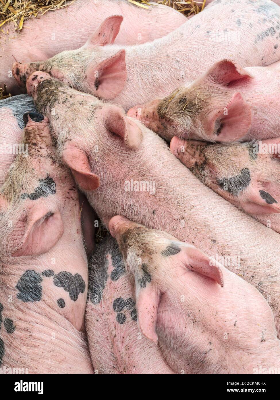 Birth sleeping hi-res stock photography and images - Alamy