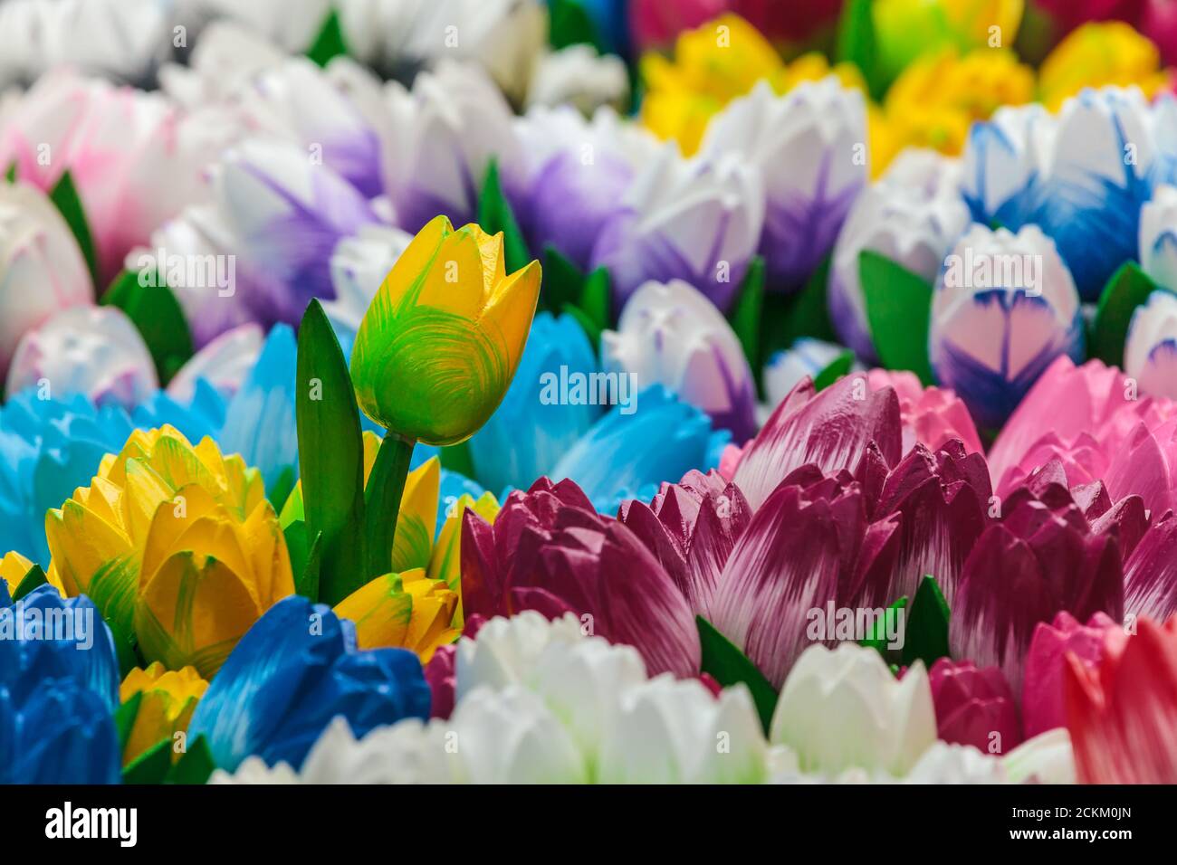 Group of colorful wooden tulips with one tulip standing out Stock Photo ...