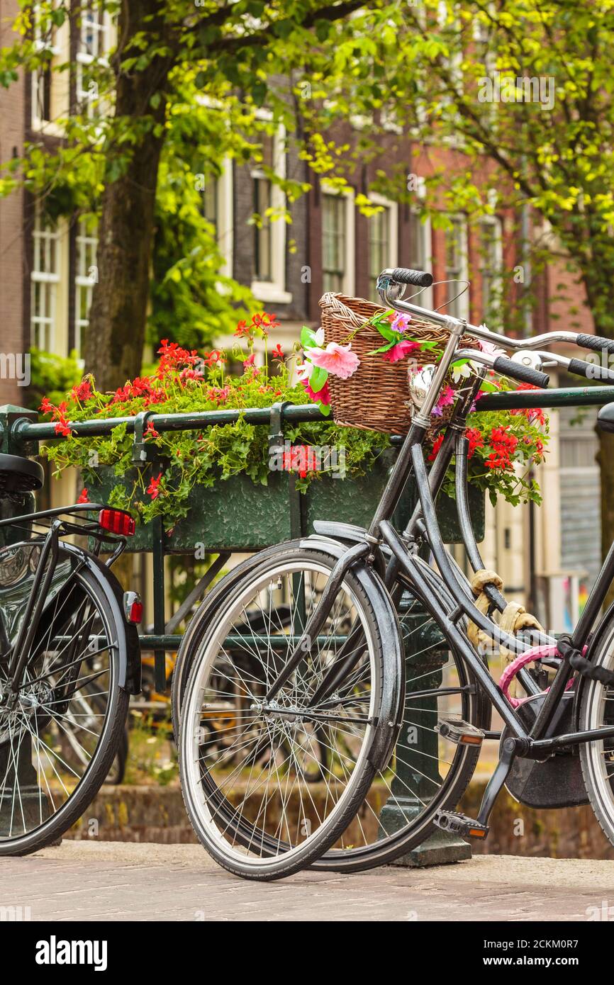 Old and classic dutch bicycle hi-res stock photography and images - Alamy