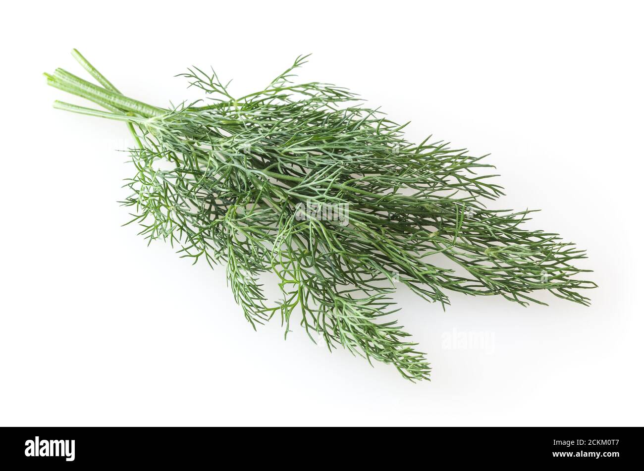 Fresh dill sprig isolated on white background Stock Photo - Alamy