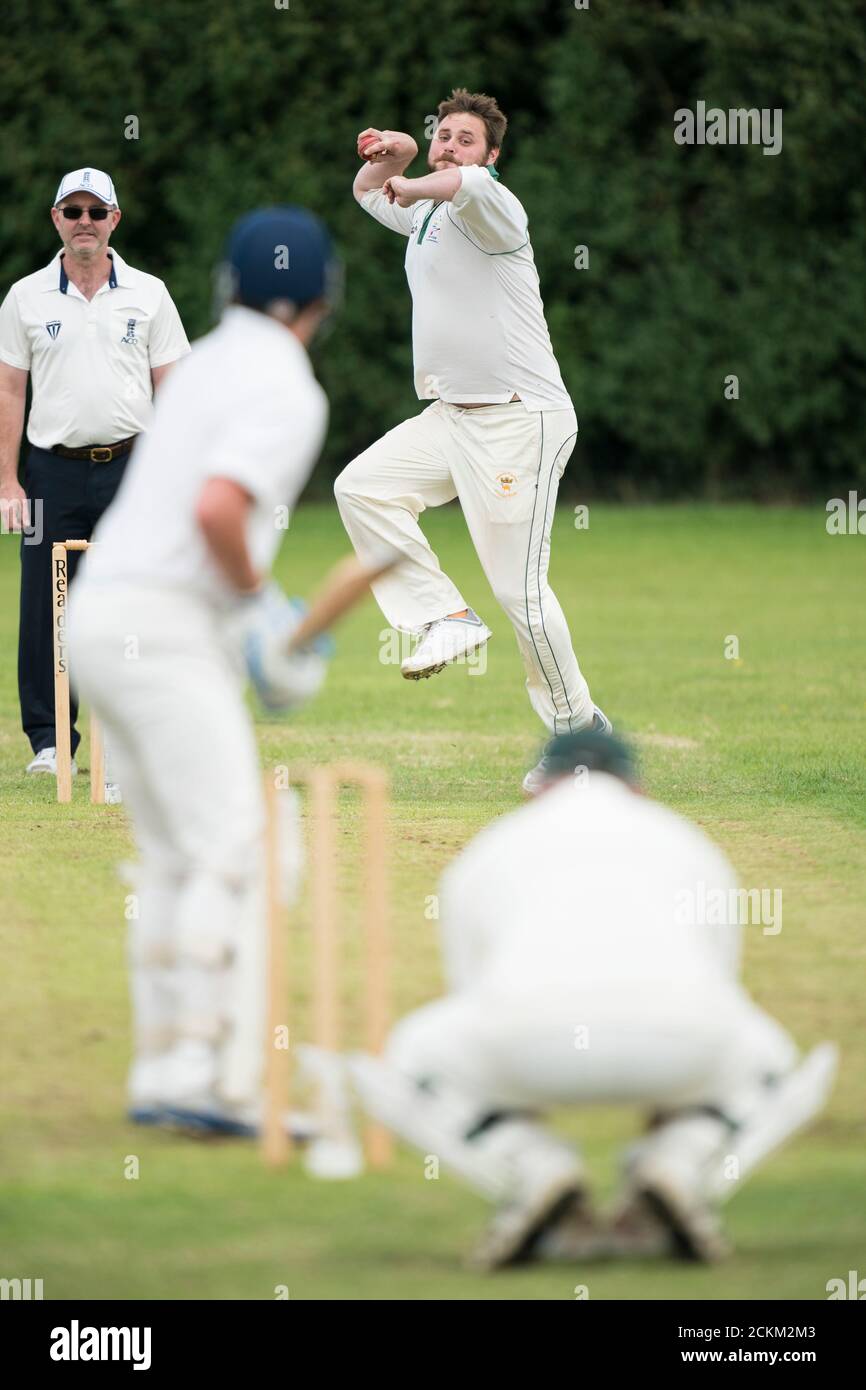 Cricket bowler in action Stock Photo - Alamy