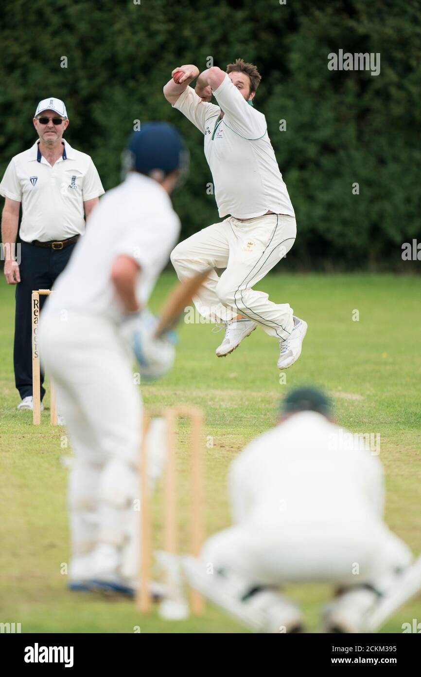 Cricket bowler in action Stock Photo - Alamy