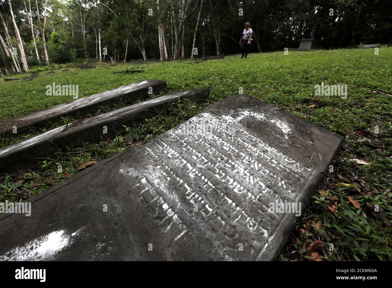 Redi doti hi-res stock photography and images - Alamy