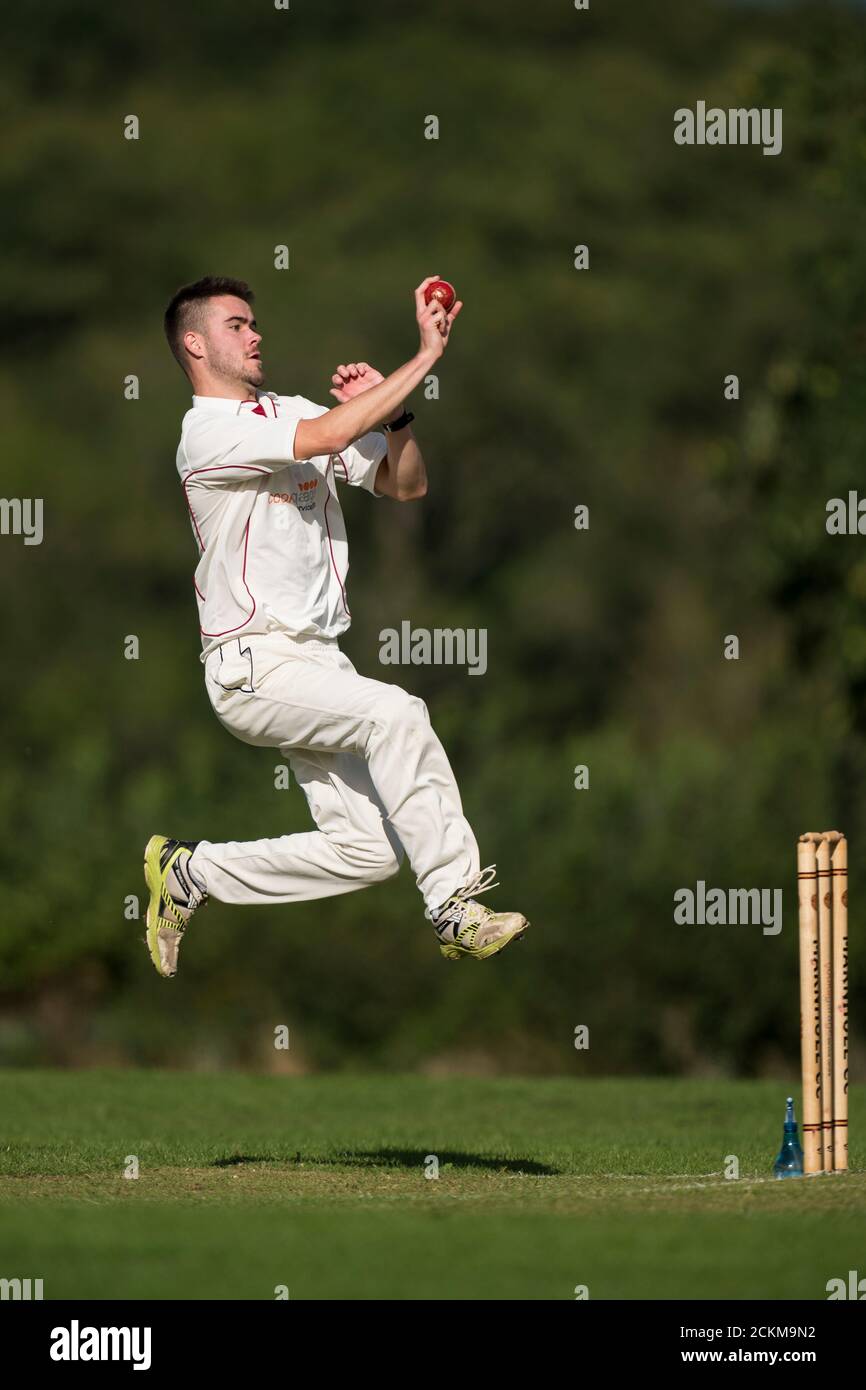 Cricket bowler in action Stock Photo - Alamy
