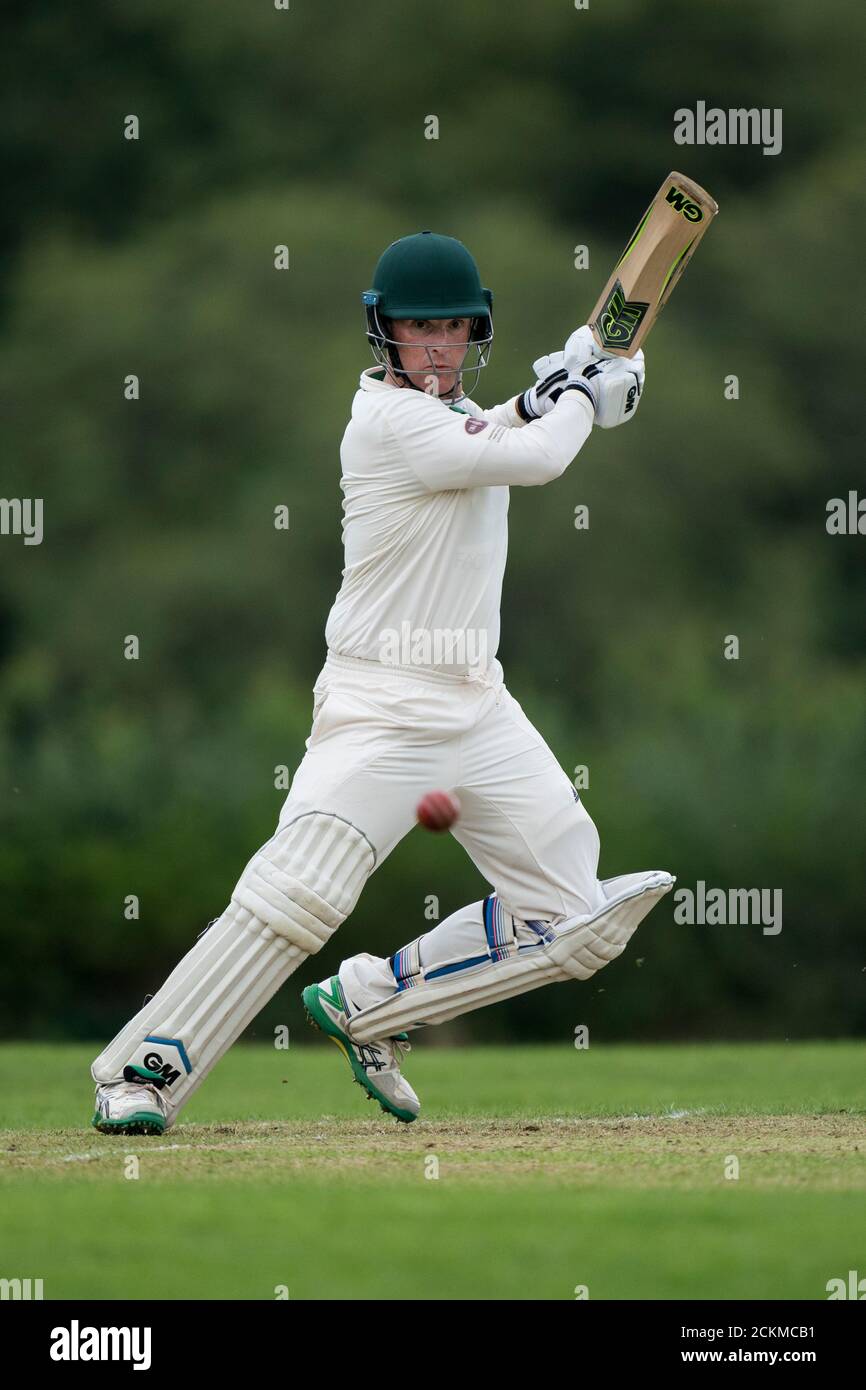 Cricket batsman playing shot Stock Photo - Alamy
