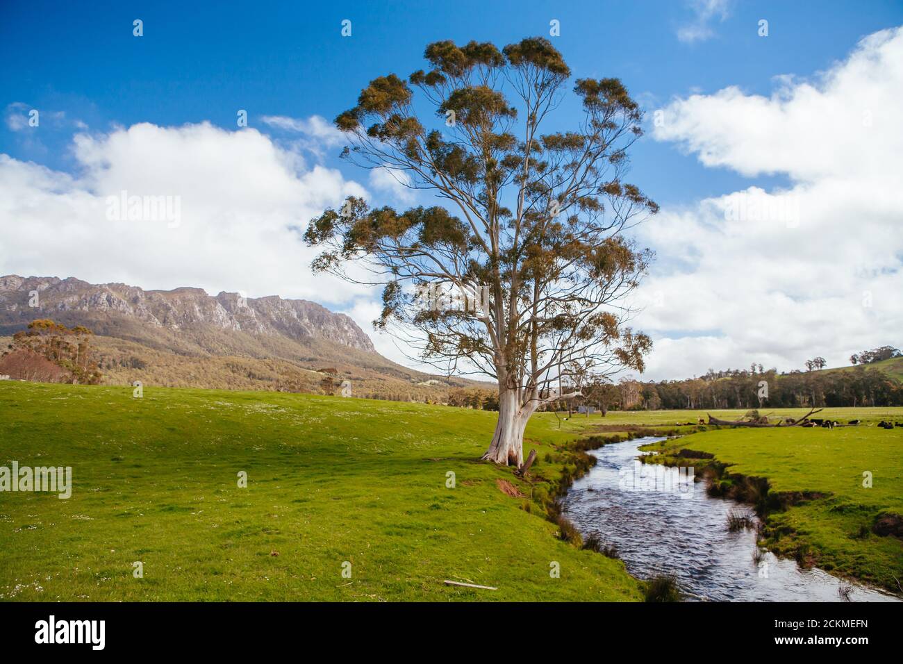 Mt Roland in Tasmania Australia Stock Photo - Alamy