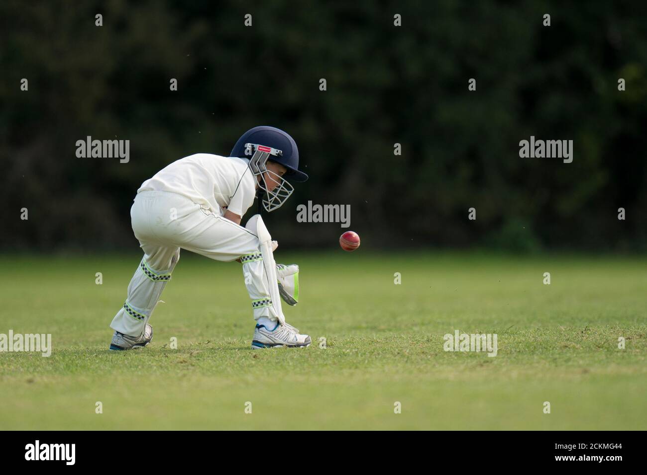 Wicket keeper gloves hi-res stock photography and images - Alamy