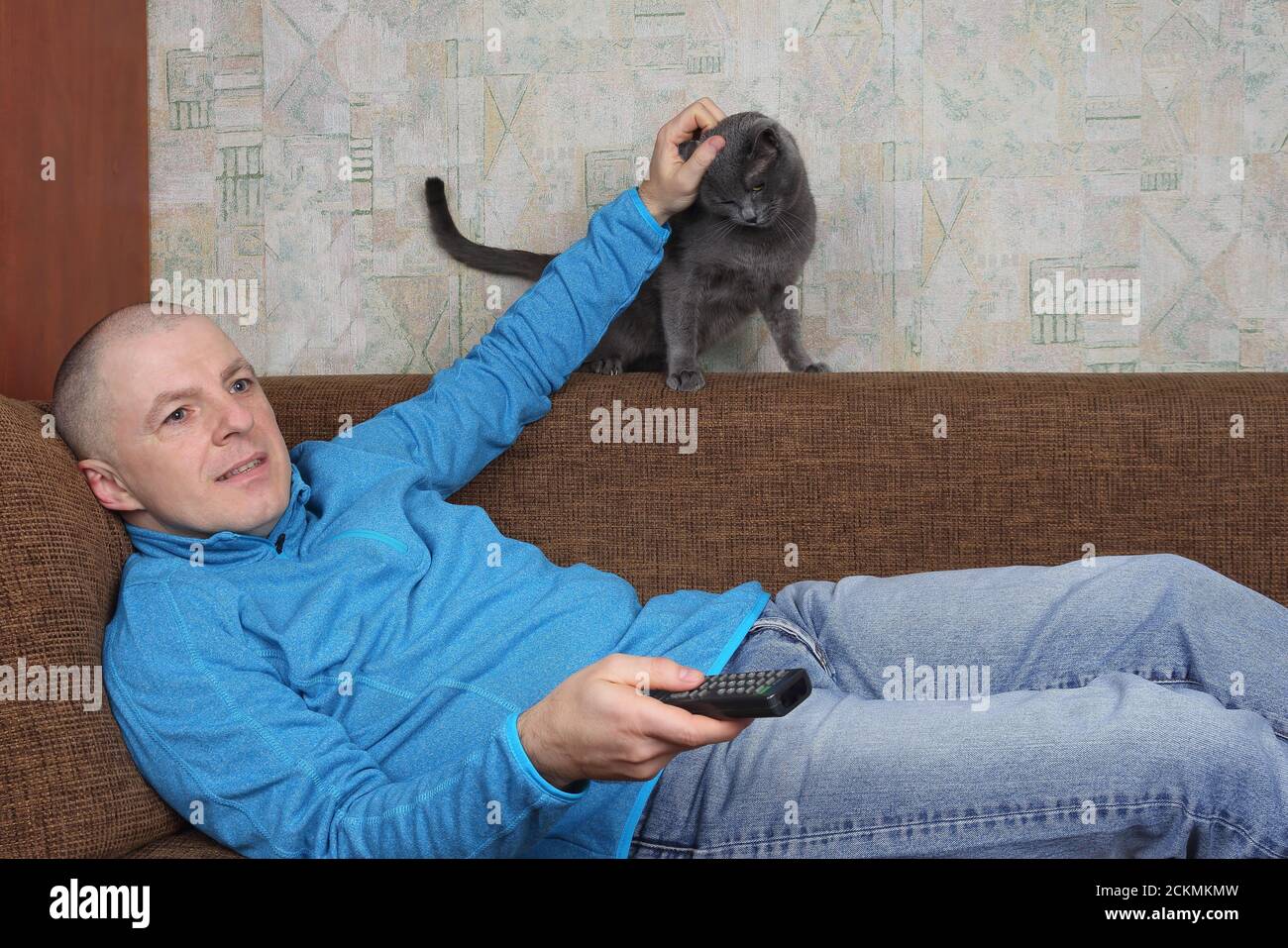 Human watching cat video hi-res stock photography and images - Alamy