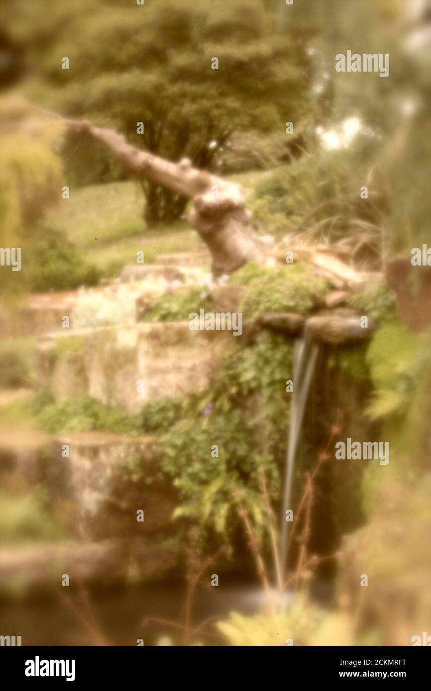 Pinhole landscape featuring small waterfall and snarled tree trunk ...