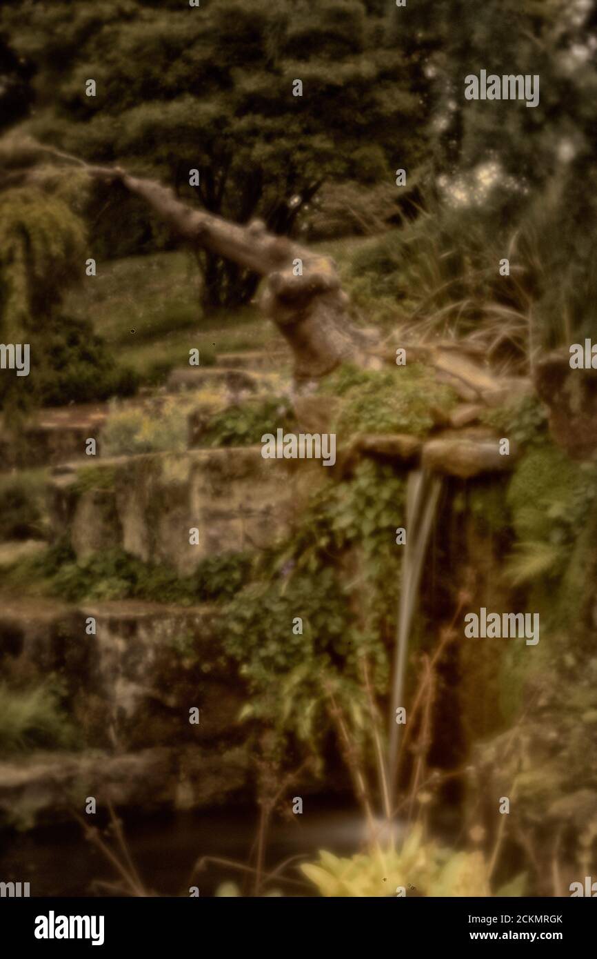 Pinhole landscape featuring small waterfall and snarled tree trunk ...