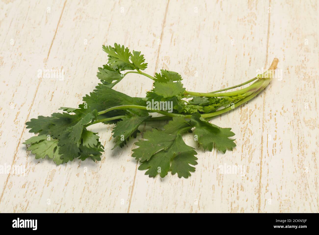 Fresh ripe Green cilantro leaves spice Stock Photo - Alamy
