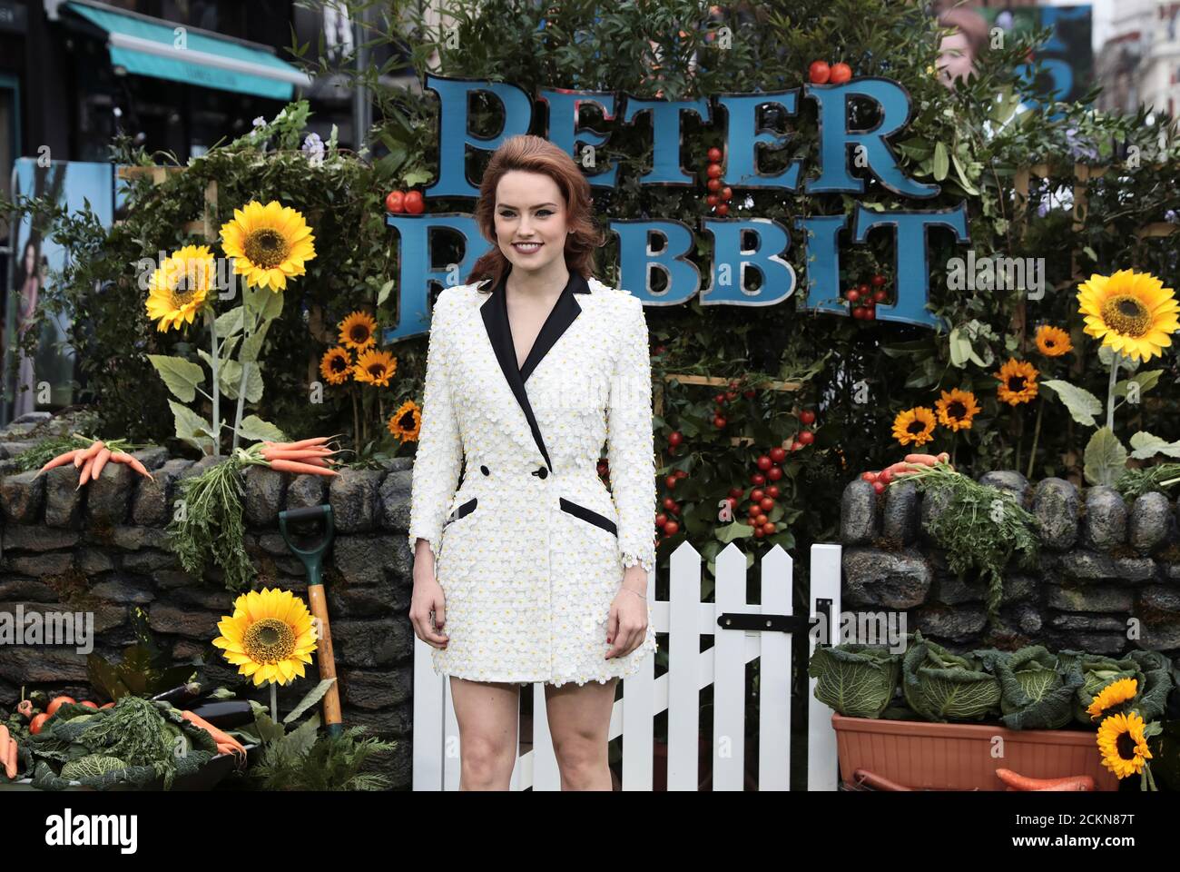 Peterrabbit hi-res stock photography and images - Alamy