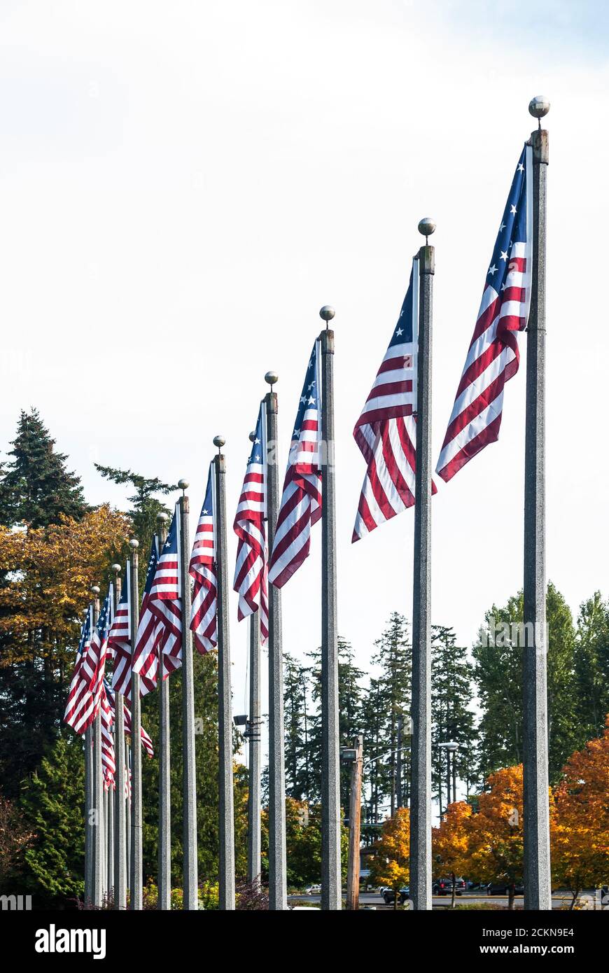 Flags in a row at a park in Lynnwood, Washington Stock Photo - Alamy