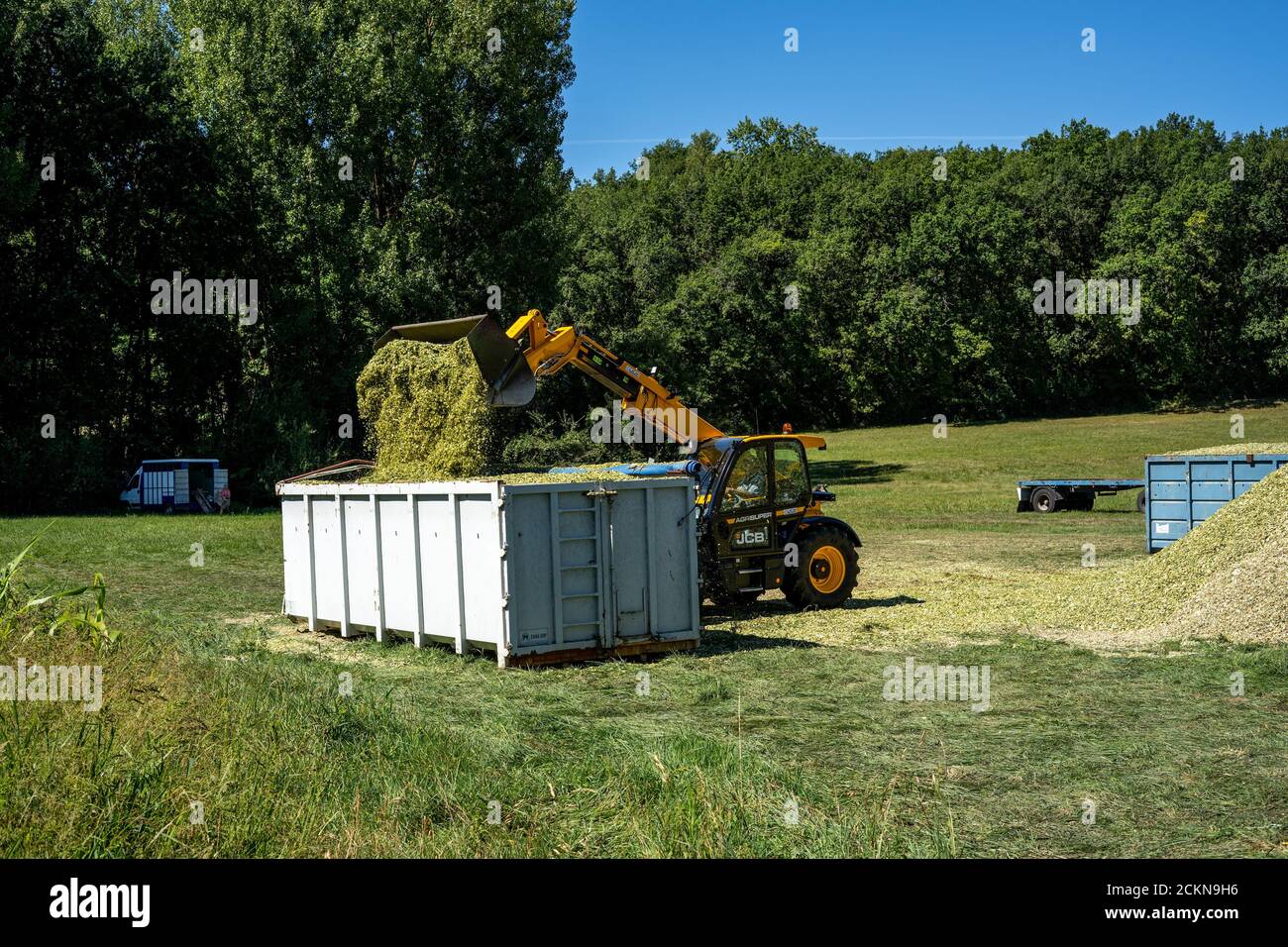 Laguepie, France 25.08.2020 Preparing sorghum silage for cattle feeding ...