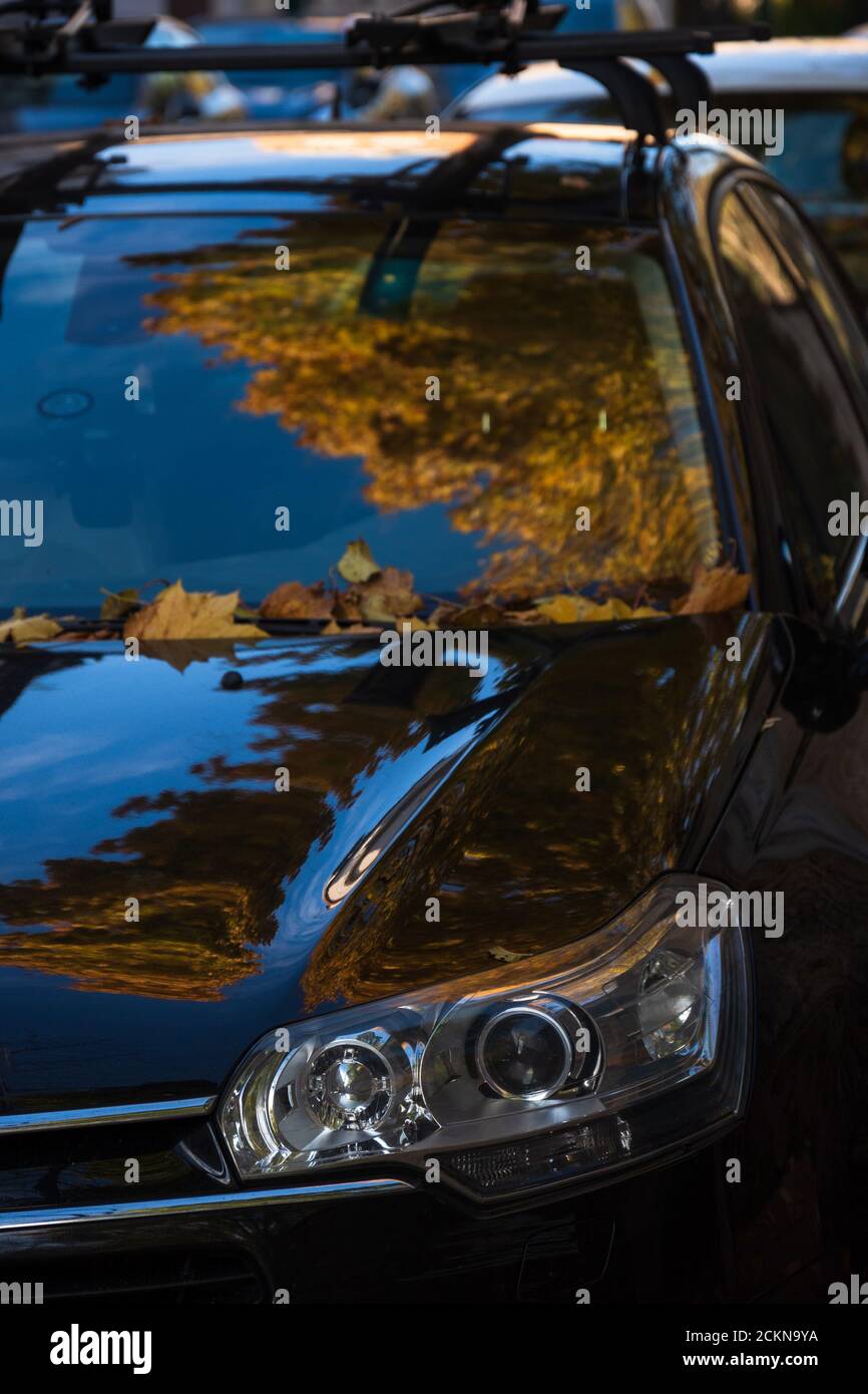 Car standing on street with maple autumn leaves on windshield and ...