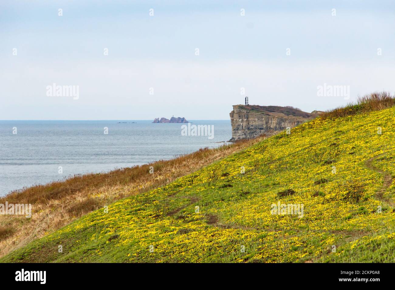 Adonises hi-res stock photography and images - Alamy