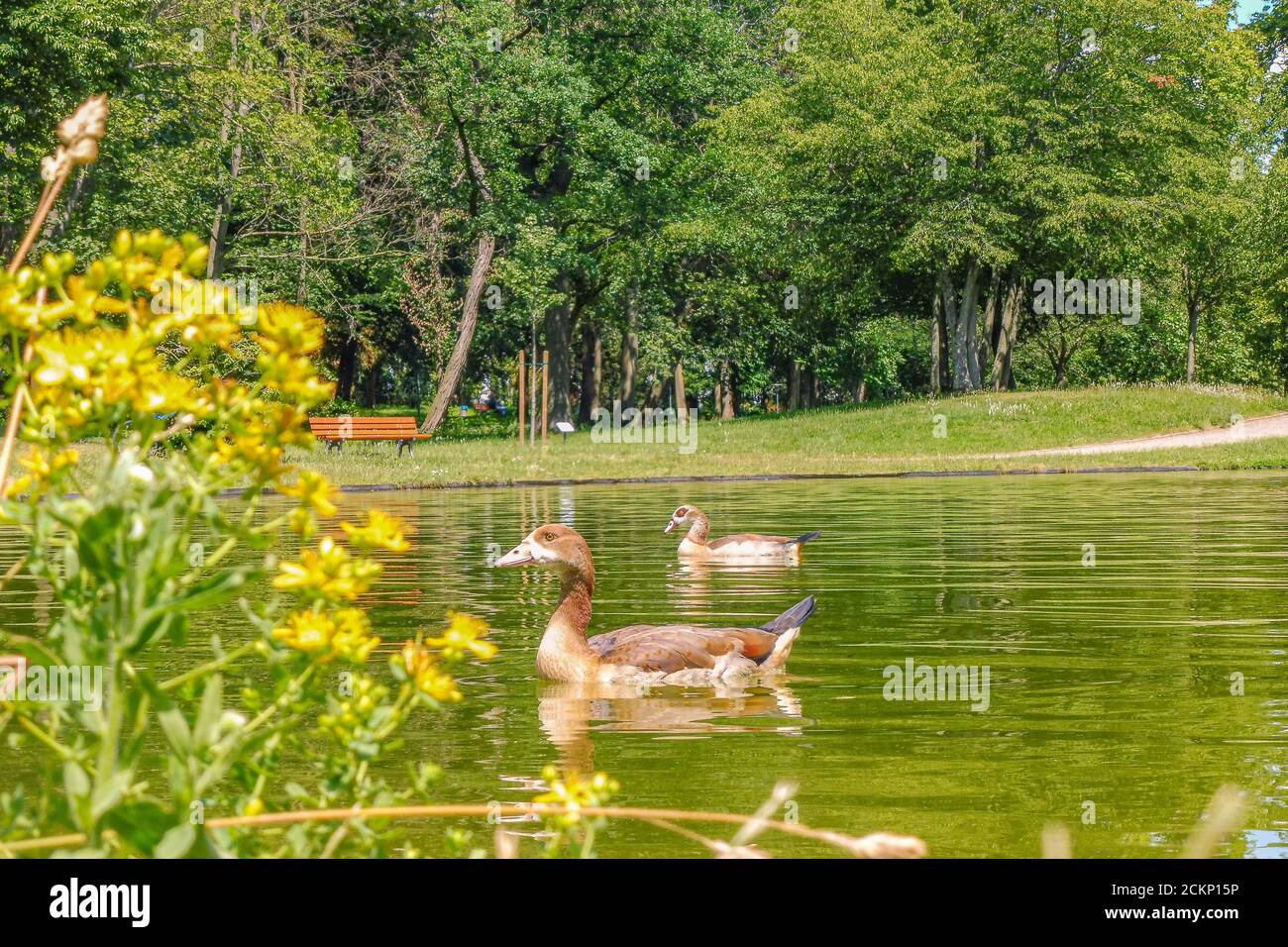 Historical Museum in Hanau Stock Photo - Alamy
