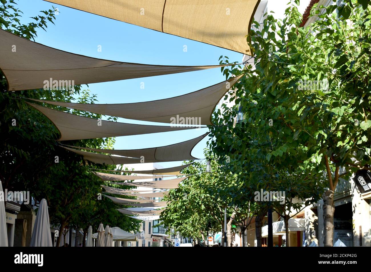 close up of street bunting creating shade along a tree lined road with ...