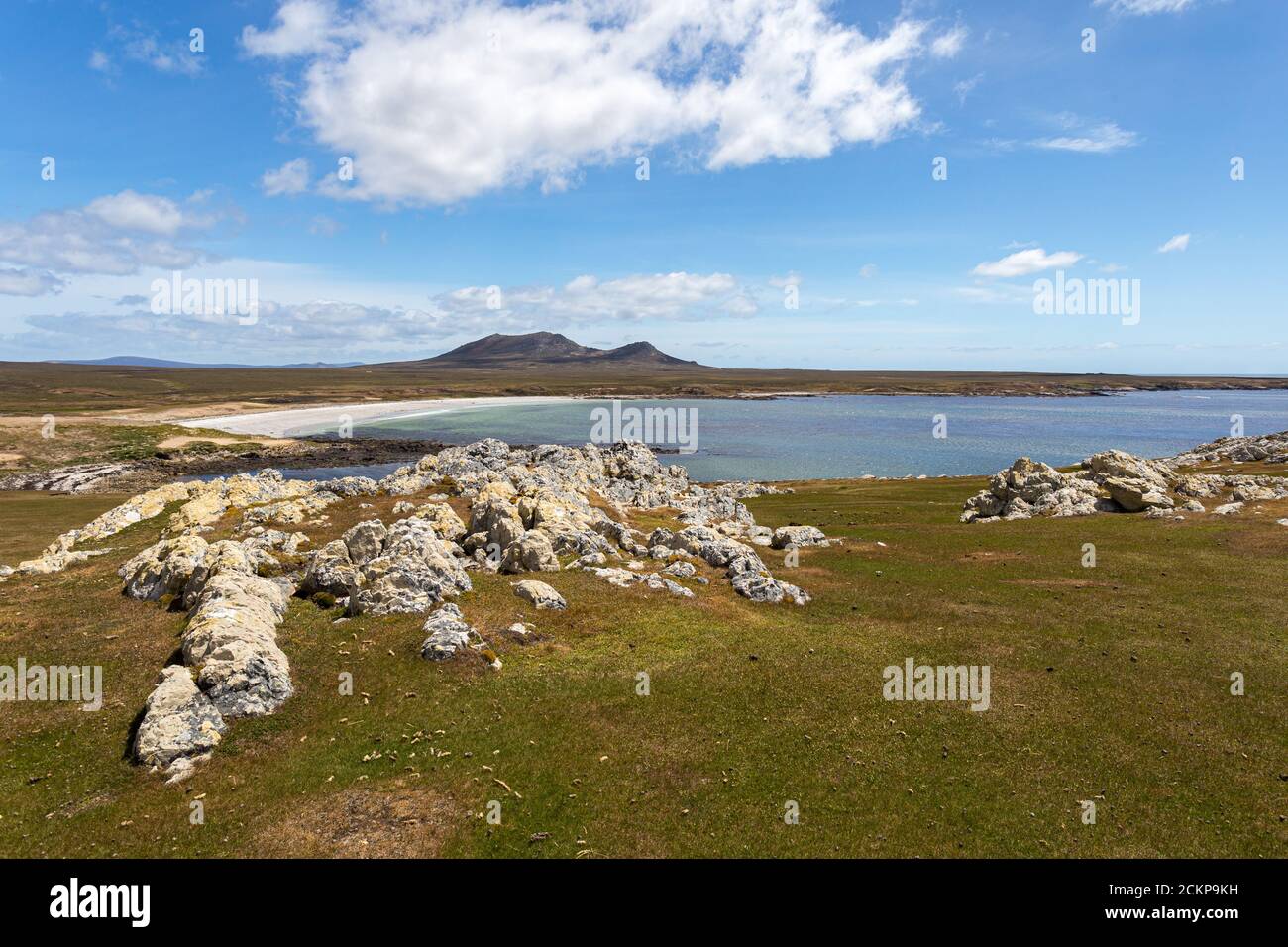 Falkland islands landscape hi-res stock photography and images - Alamy