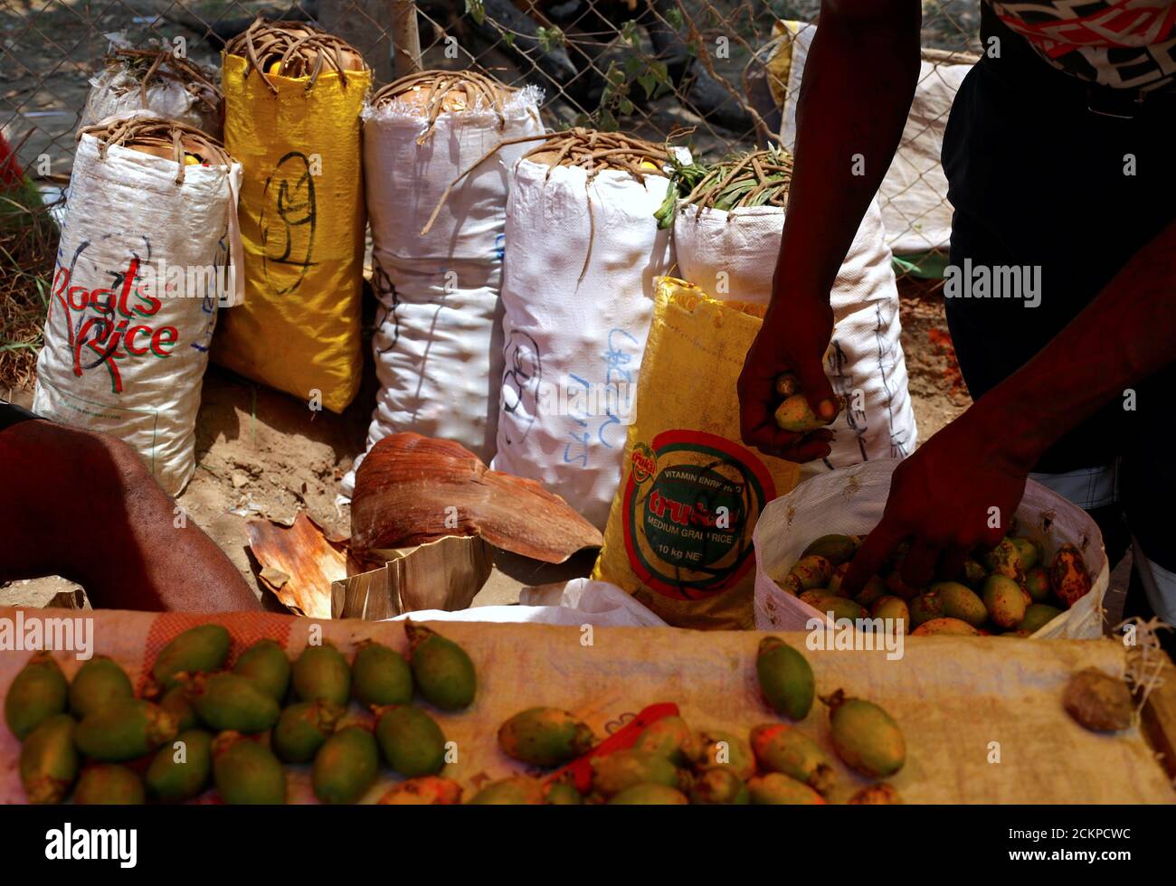 Papua new guinea betel nut hi-res stock photography and images - Alamy