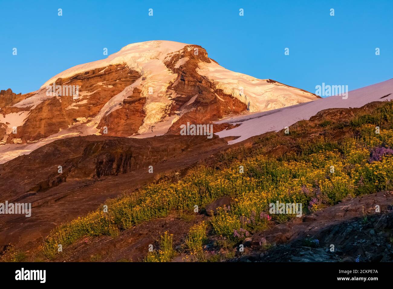Sunset light on Mount Baker, viewed from Heliotrope Ridge, Mount Baker ...