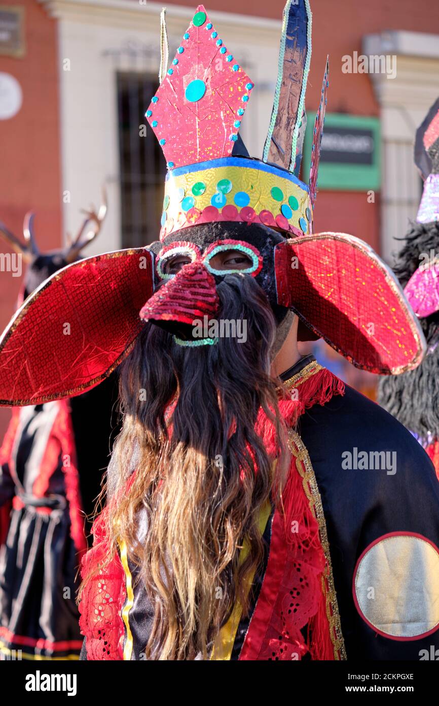 Mexican creature with crown and beard walking and dancing in a parade ...