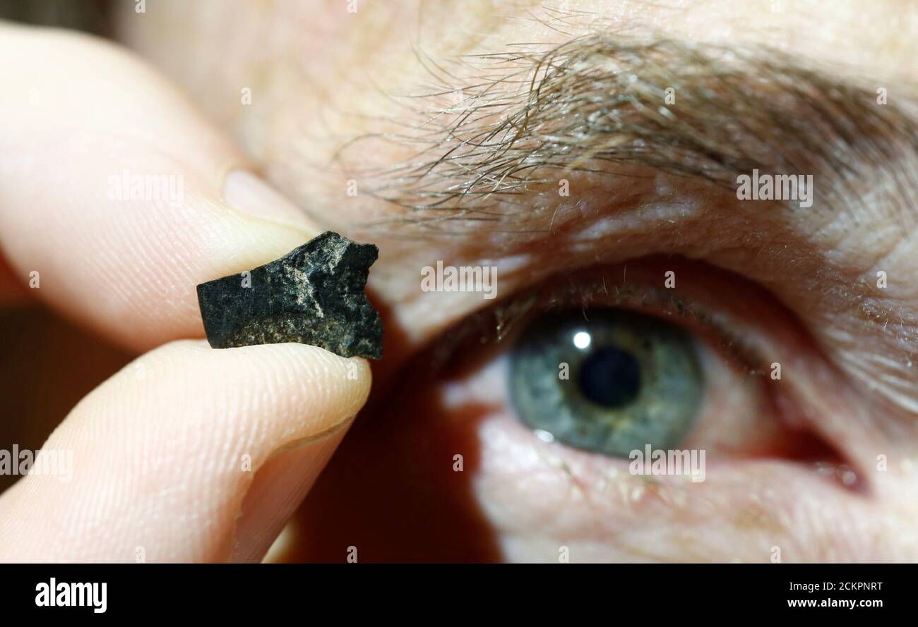 Australian archaeologist hi-res stock photography and images - Alamy