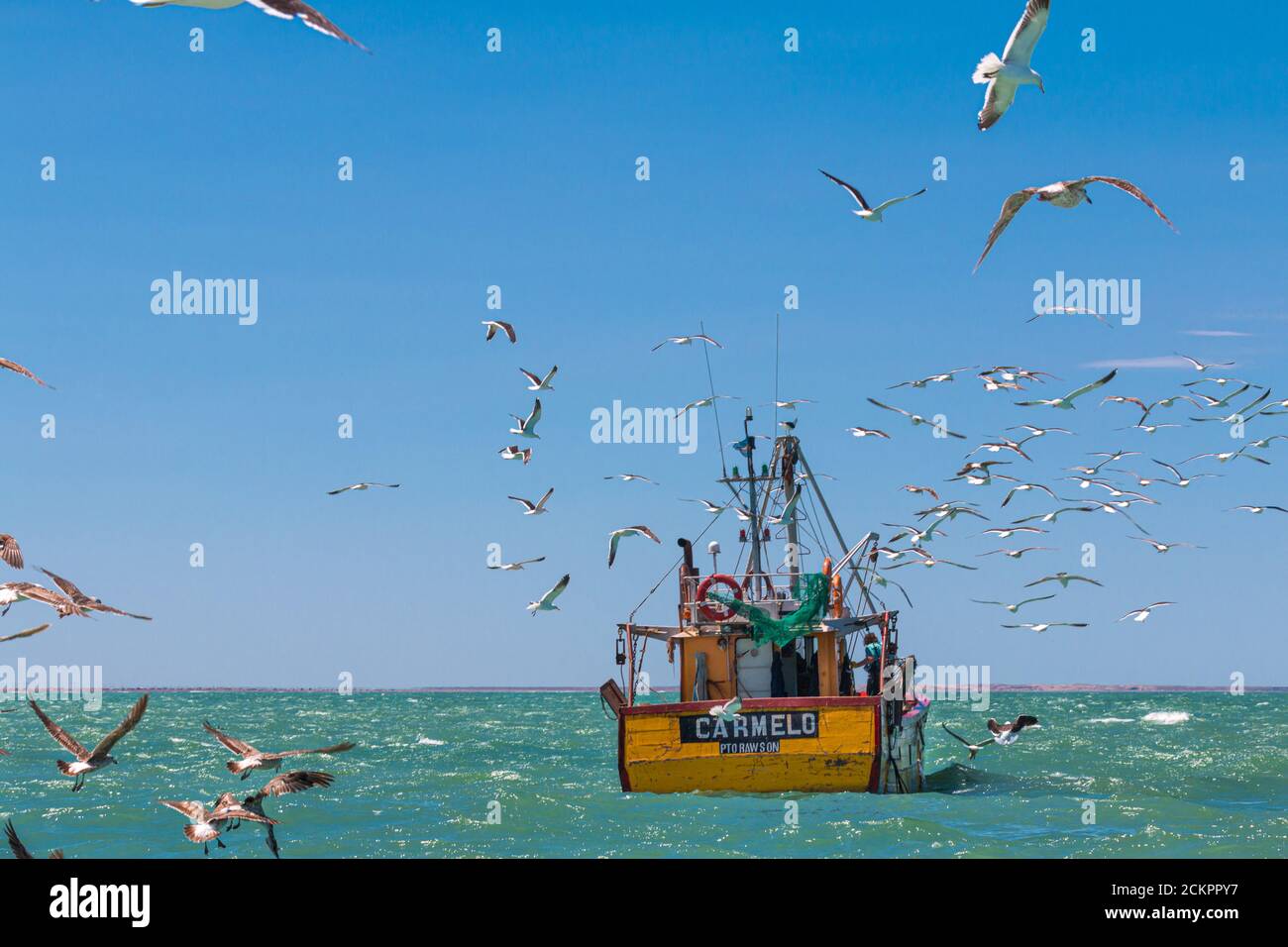 Seagulls flying around fishing boat Stock Photo - Alamy