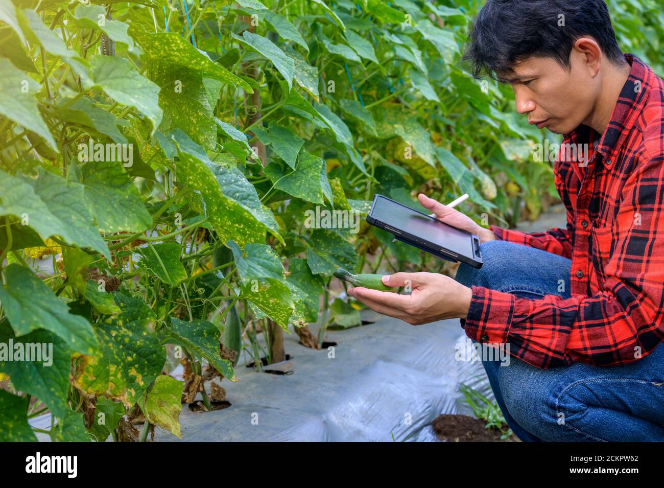Technology in agriculture hi-res stock photography and images - Alamy