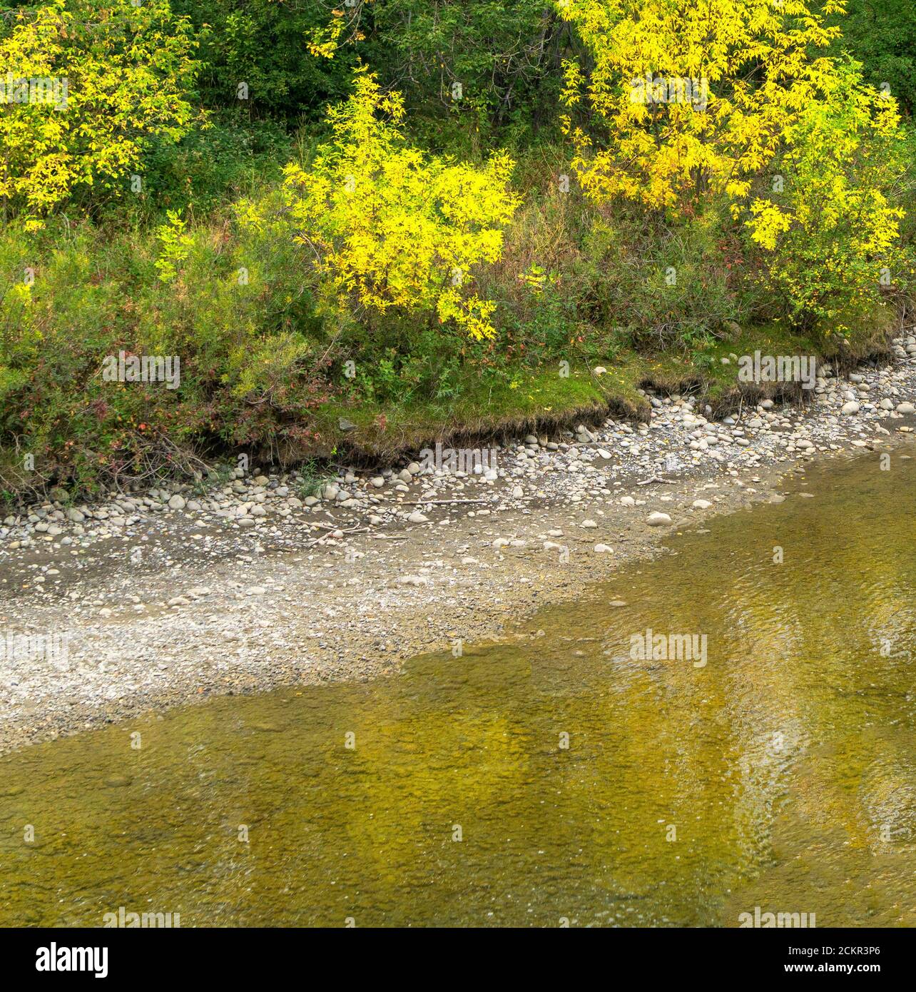 Autumn Trees Calgary Zoo Alberta Stock Photo - Alamy