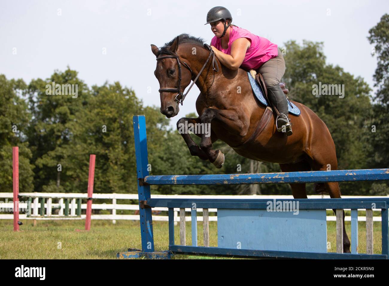 Horse and rider jumping a fence Stock Photo - Alamy