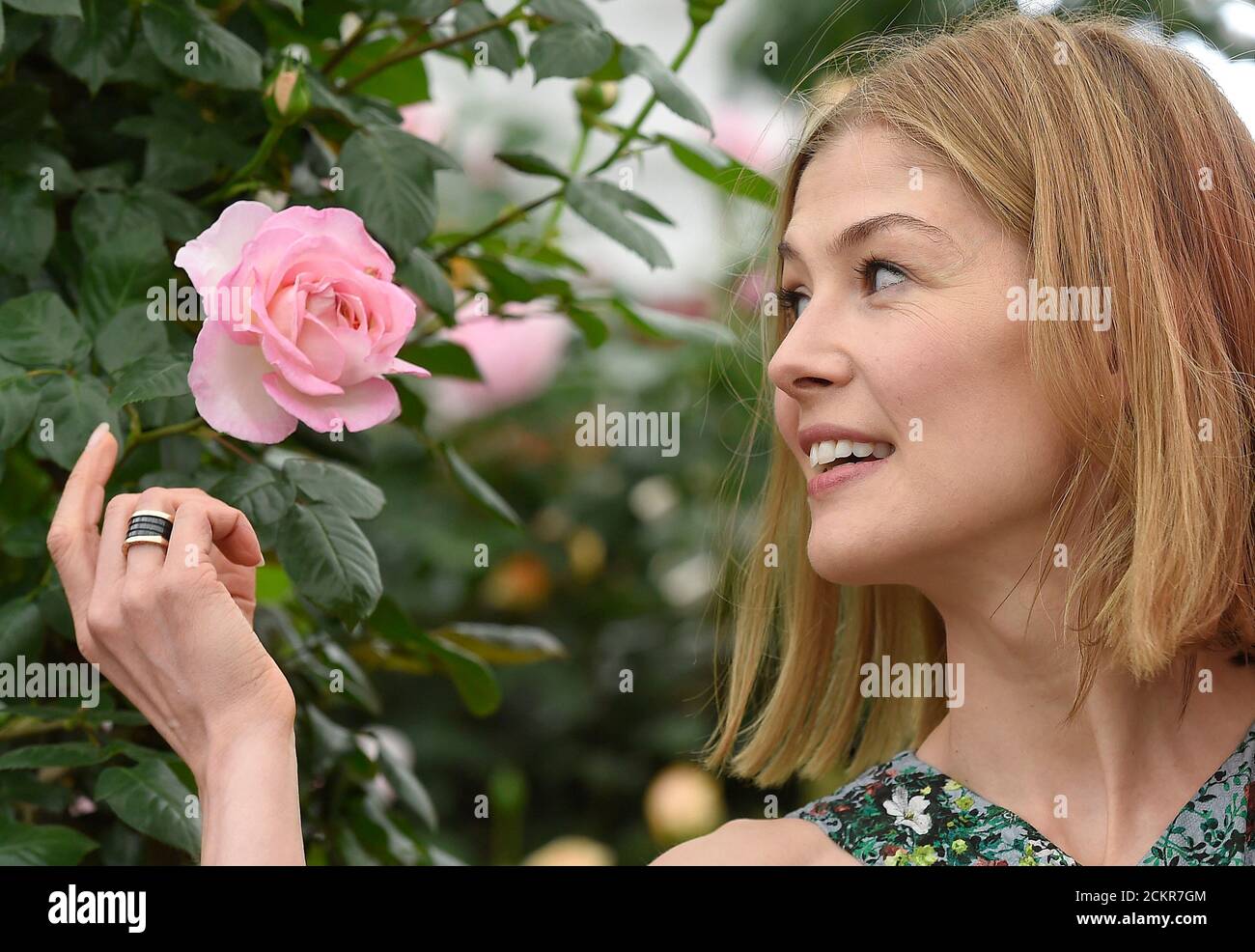 Rosamund Pike Actress High Resolution Stock Photography and Images - Alamy