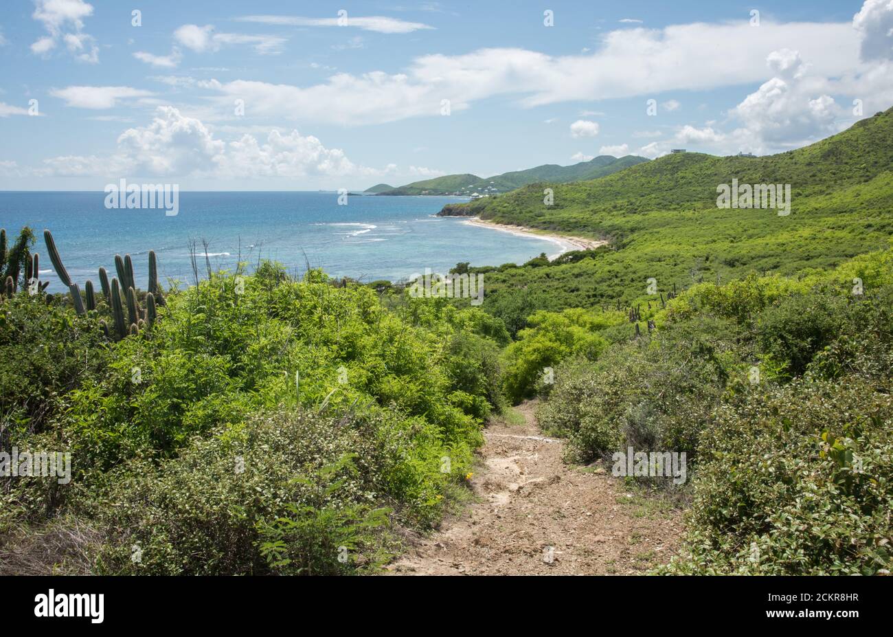 Remote coastal path to Jack and Isaac Bay with stunning Caribbean Sea ...