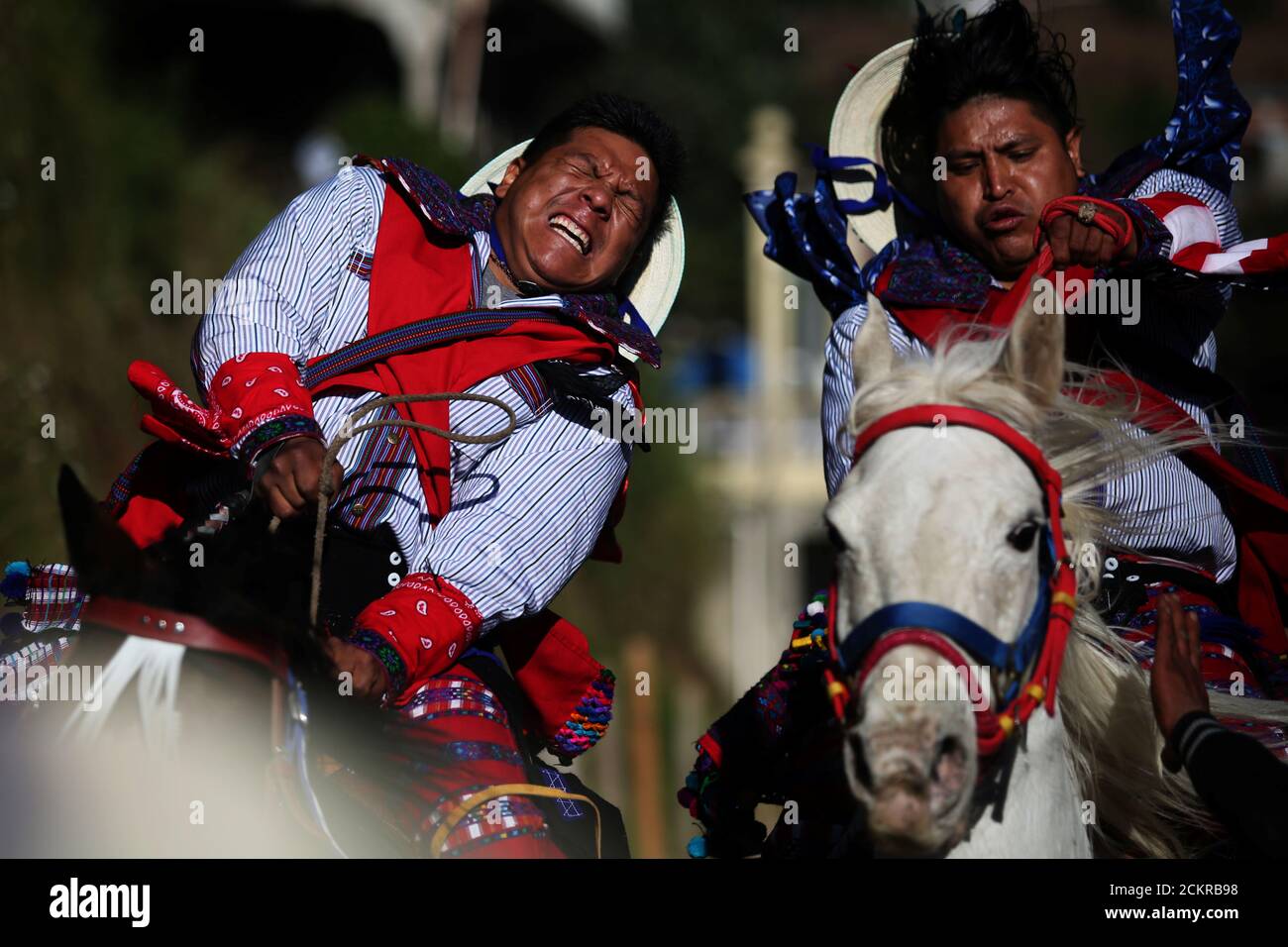 Drunk horse race hi-res stock photography and images - Alamy