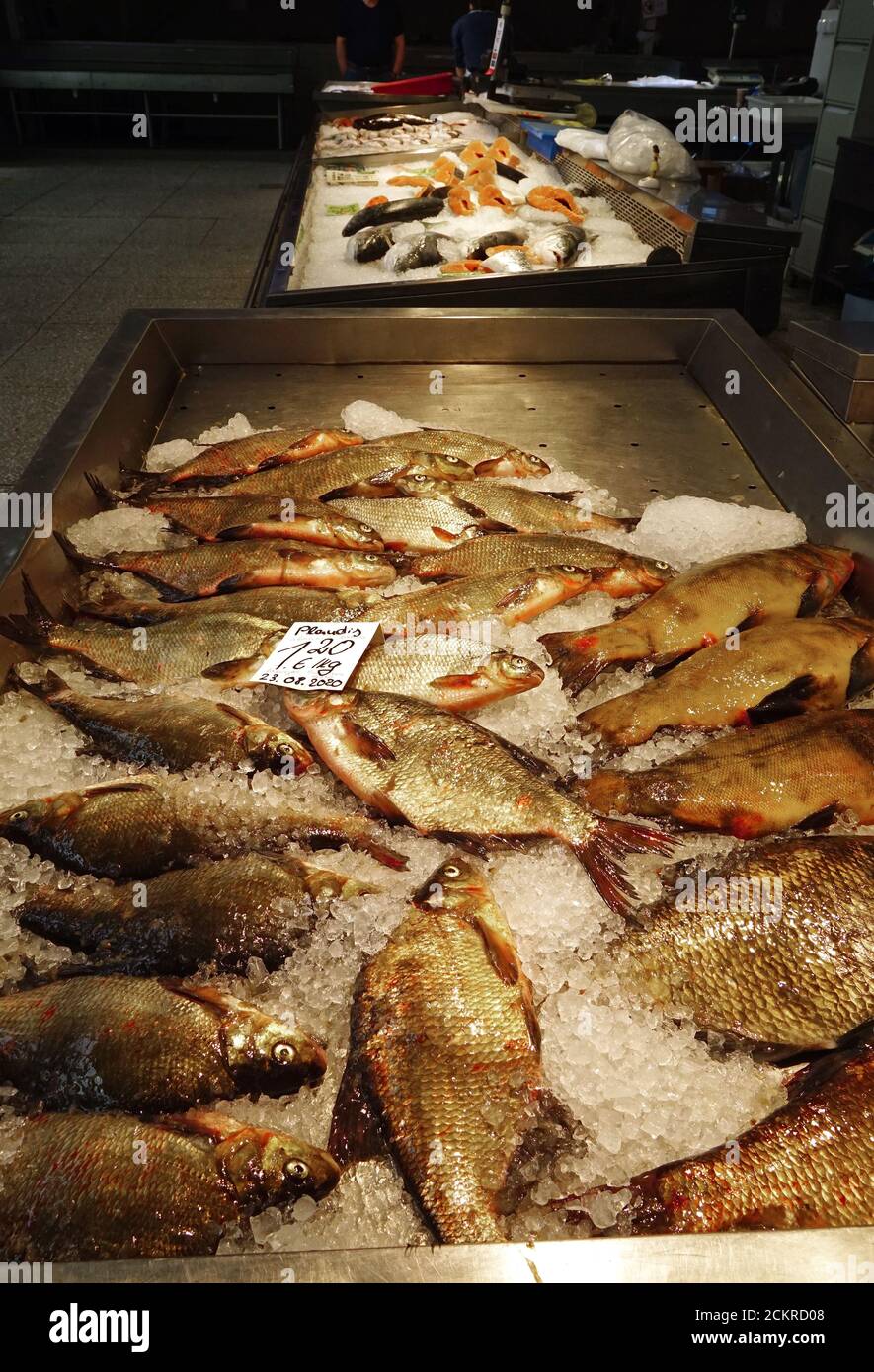 Fish Store, Central market, Centraltirgus, Riga, Latvia, Europe Stock ...