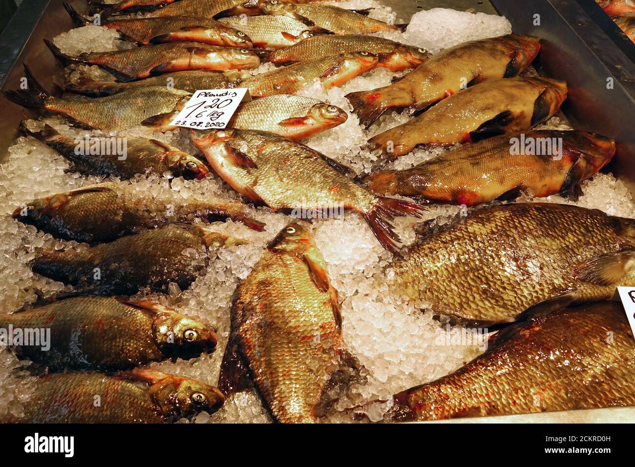 Fish Store, Central market, Centraltirgus, Riga, Latvia, Europe Stock ...