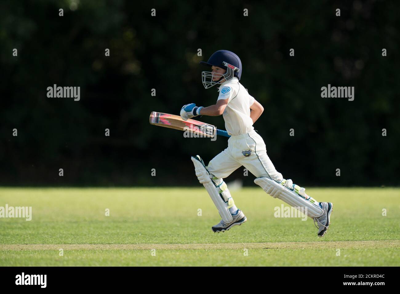 Cricket bat making hi-res stock photography and images - Alamy