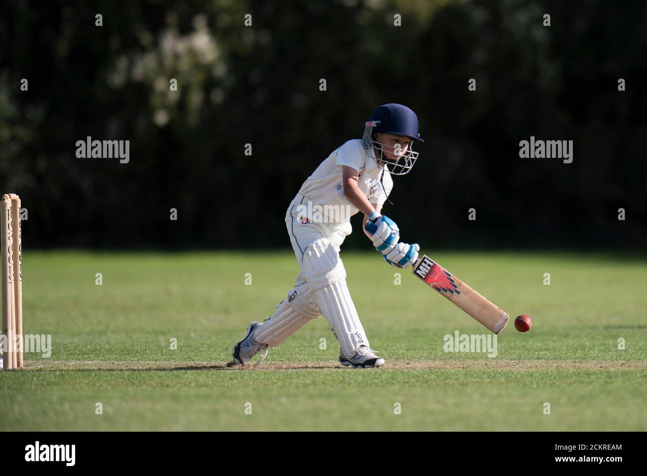 Young boy playing cricket shot during village cricket match for all ...