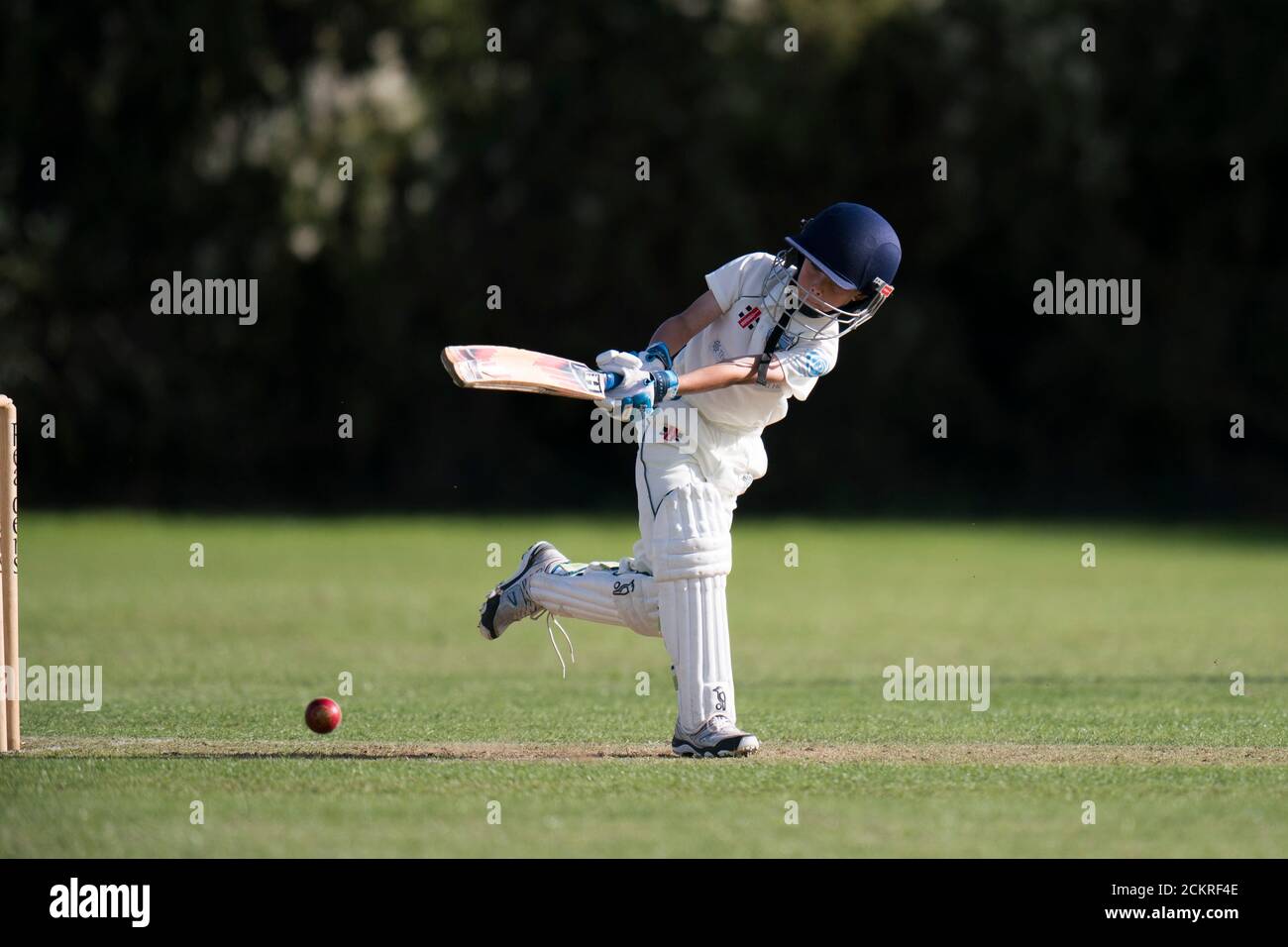 Young boy playing cricket shot during village cricket match for all ...