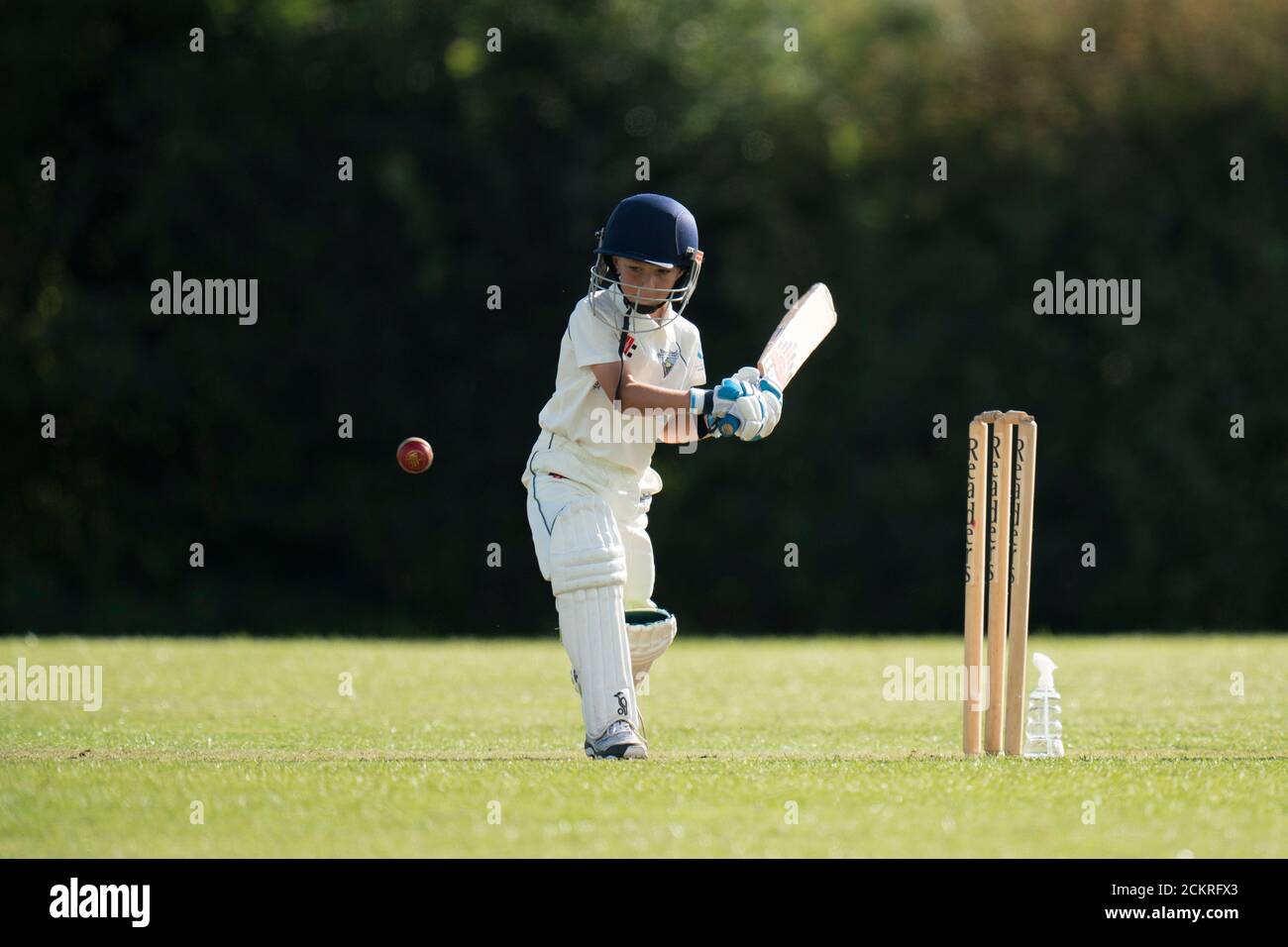 Cricket batting good hi-res stock photography and images - Alamy