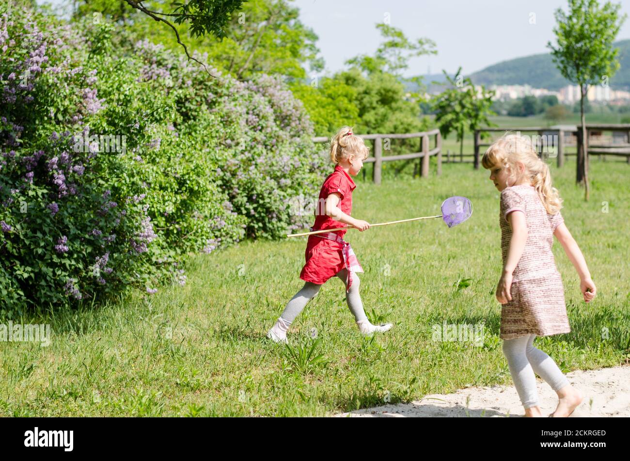 Girls catching butterflies butterfly hi-res stock photography and ...