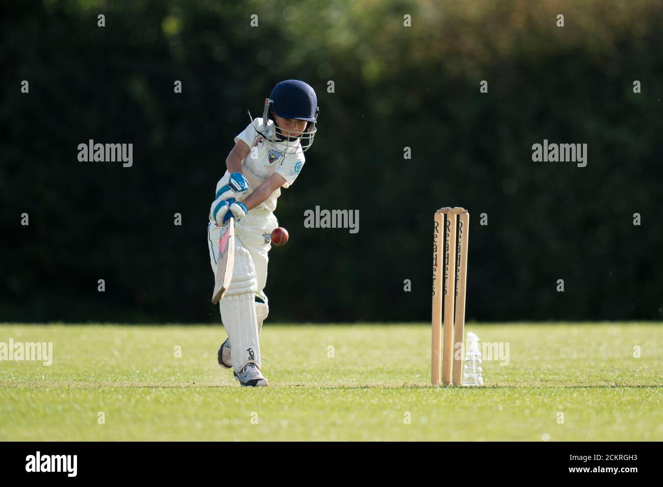 Young boy playing cricket shot during village cricket match for all ...