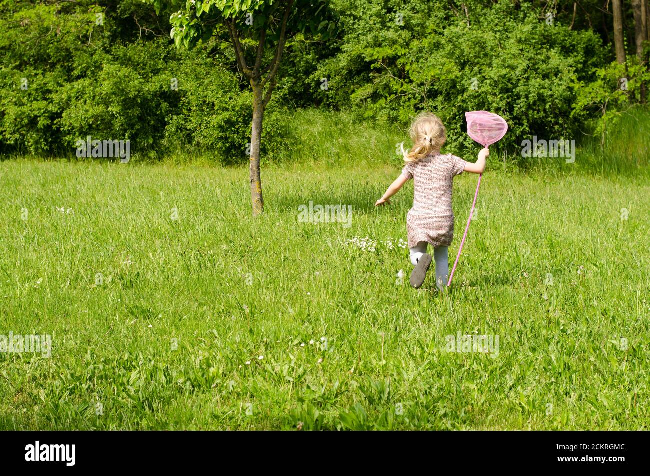 girl on the meadow catching butterflies Stock Photo - Alamy