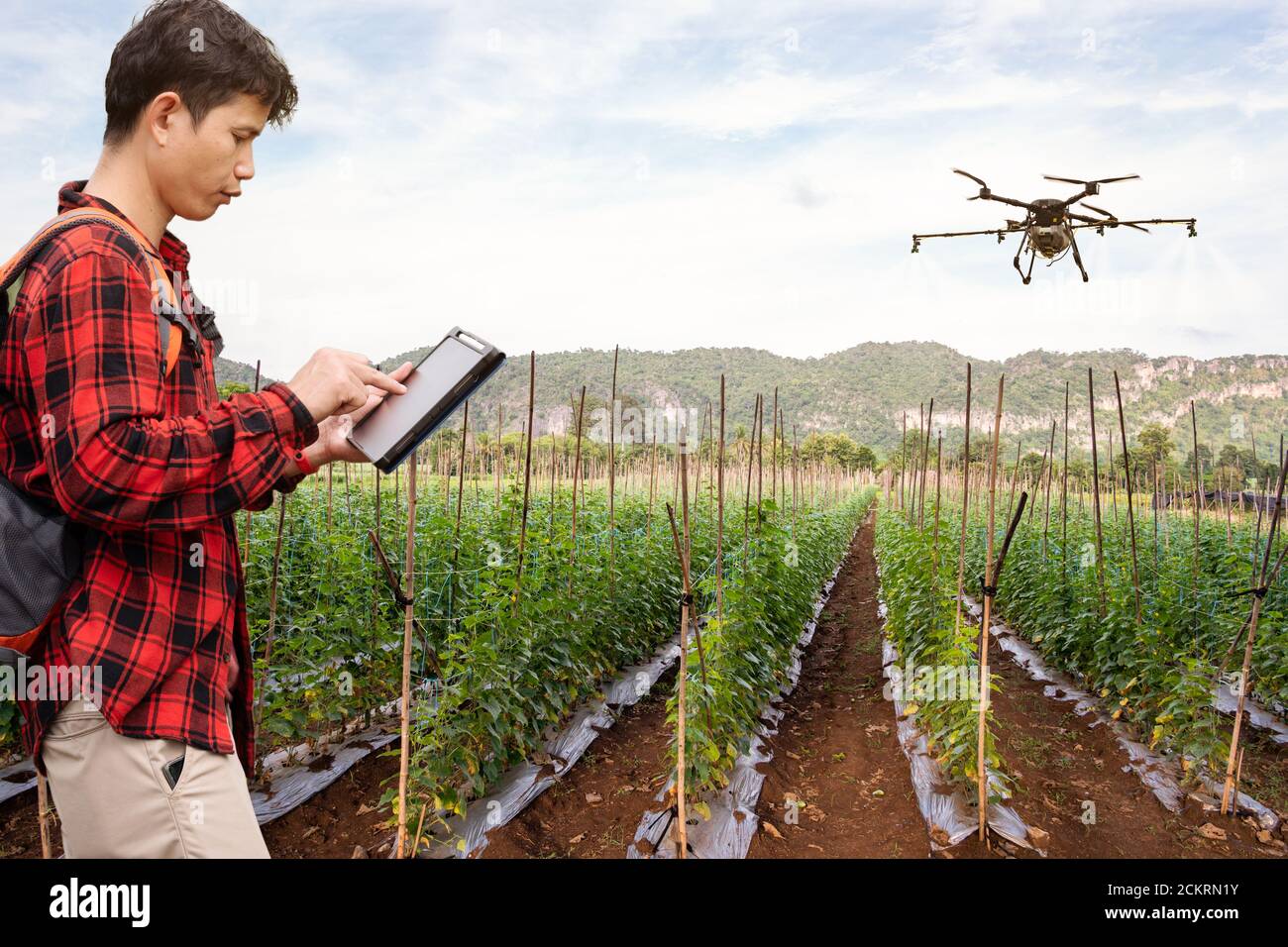 Smart farming digital technology hi-res stock photography and images ...