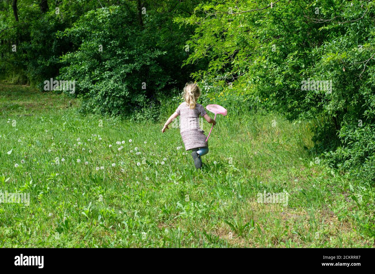 girl on the meadow catching butterflies Stock Photo - Alamy