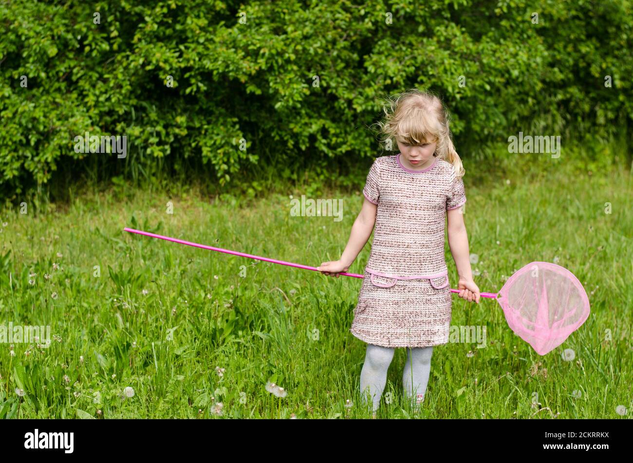 girl on the meadow catching butterflies Stock Photo - Alamy