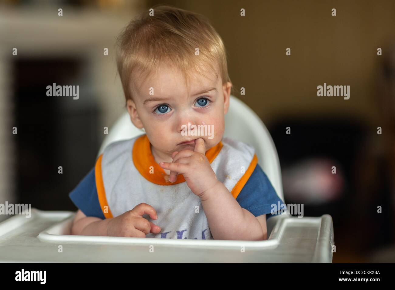 1 12 month old baby boy hi-res stock photography and images - Alamy